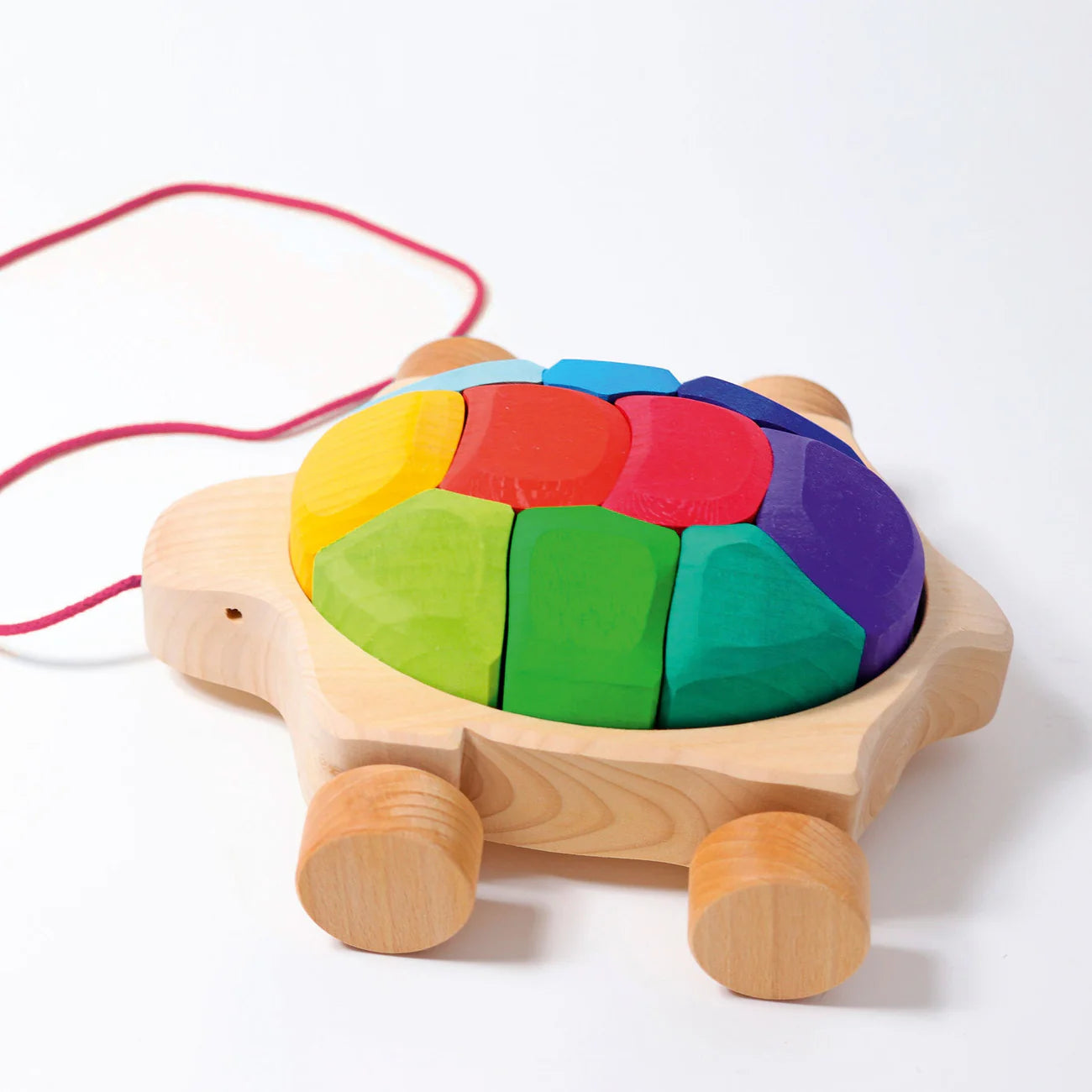 Rainbow Turtle – Thistle & Poppy