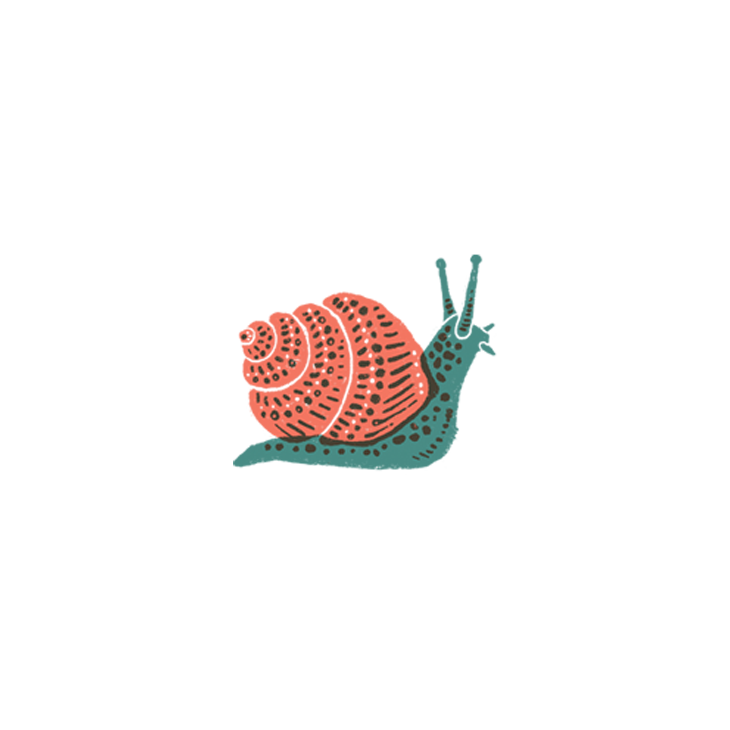 Snail Tattoo Pair – Thistle & Poppy